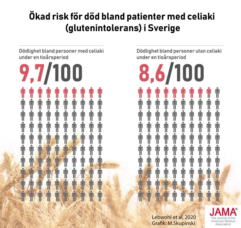 Ny studie visar ökad risk för att dö i förtid vid celiaki ...